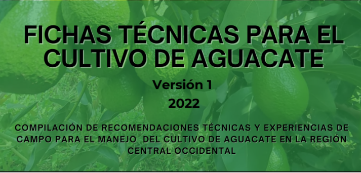 Fichas técnicas para el cultivo de aguacate
